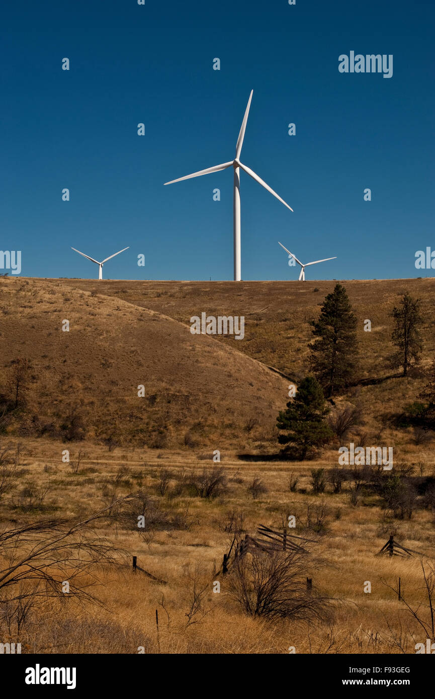 Wind machines, turbine farm in Eastern Washington Stock Photo - Alamy