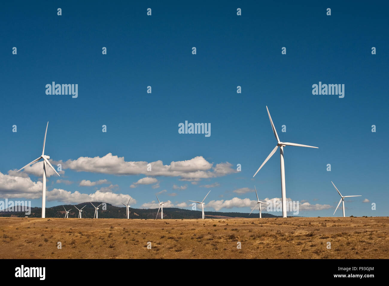 Wind machines, turbine farm in Eastern Washington Stock Photo - Alamy