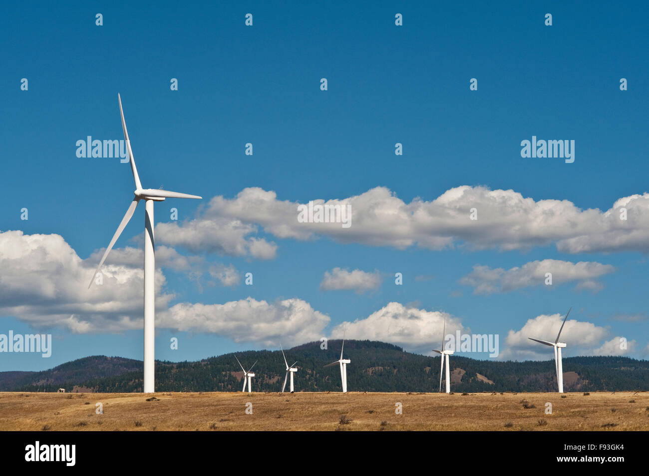 Wind machines, turbine farm in Eastern Washington Stock Photo - Alamy