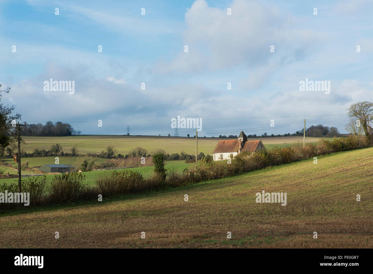 View of St Hubert's church Idsworth across a a small hedge and fields ...