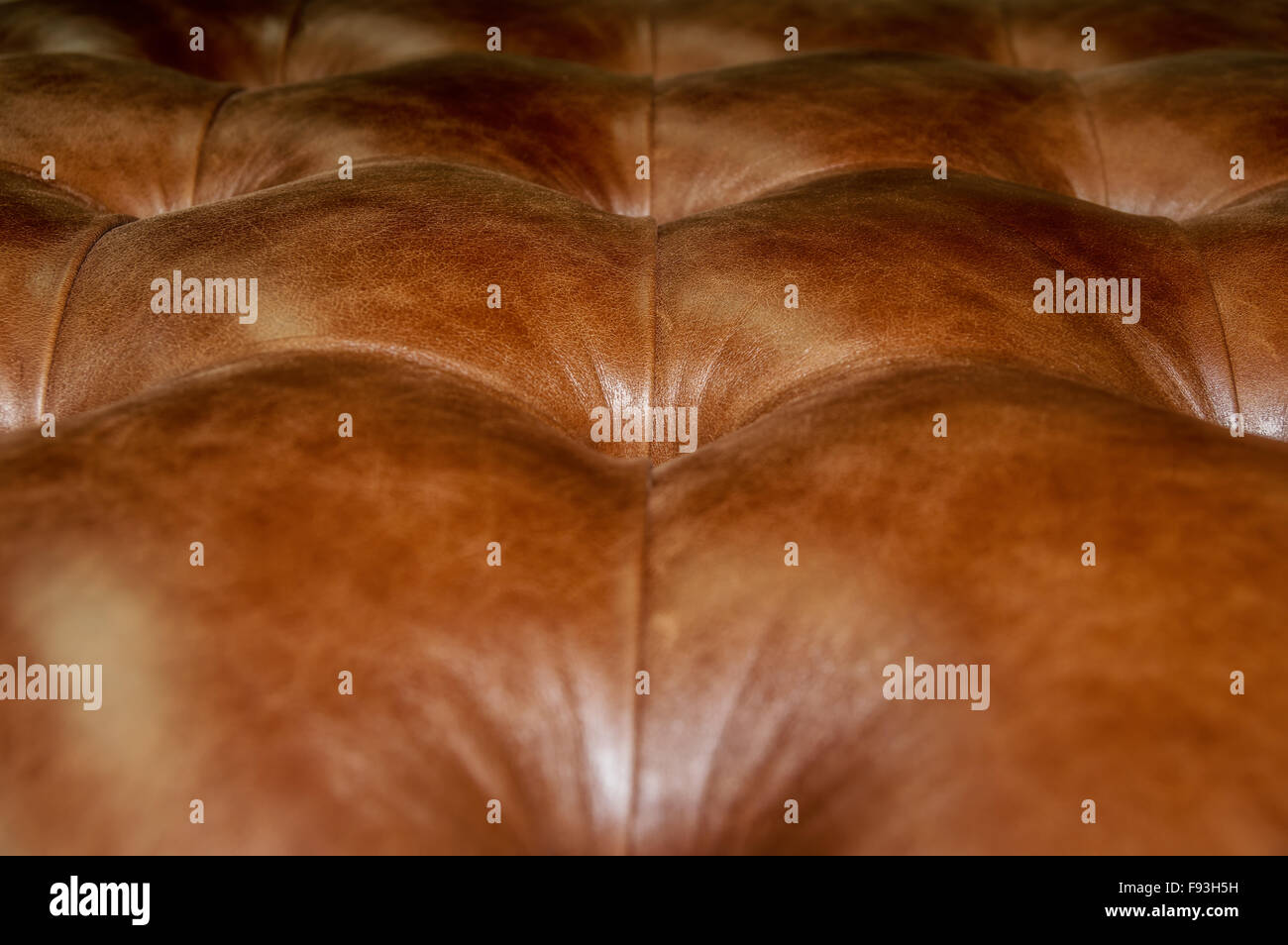 Quilted leather upholstery buttons Stock Photo - Alamy