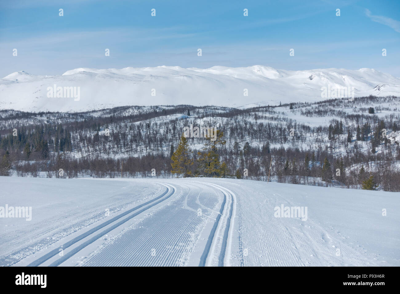 Picture from telemark, norway, winter landscape in rauland Stock Photo ...