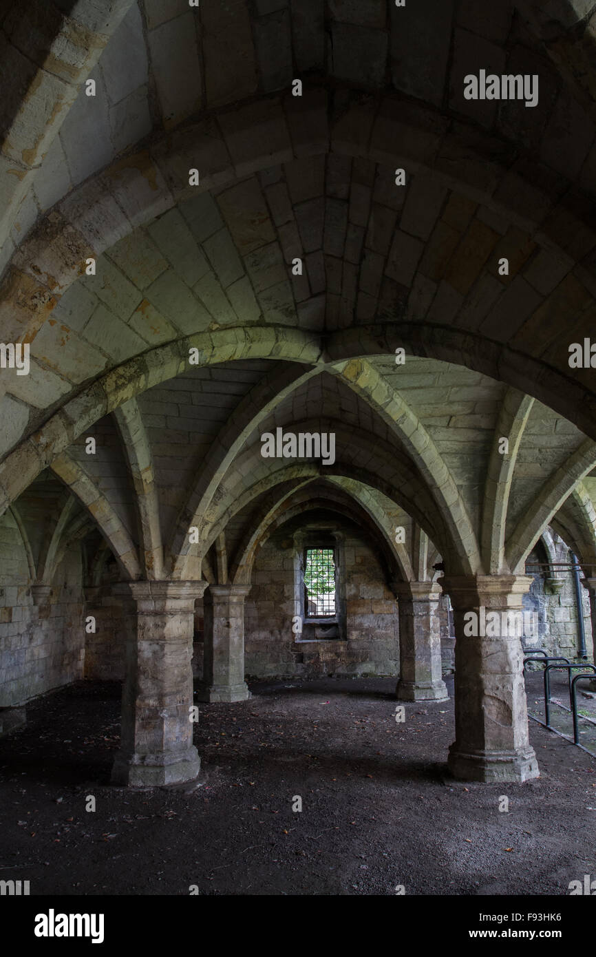 Thick stone pillars hold up the arches of an ornate ceiling in a dark ...