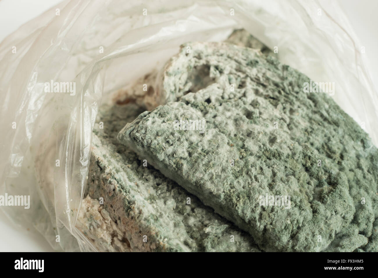 Moldy cheese sandwich hi-res stock photography and images - Alamy