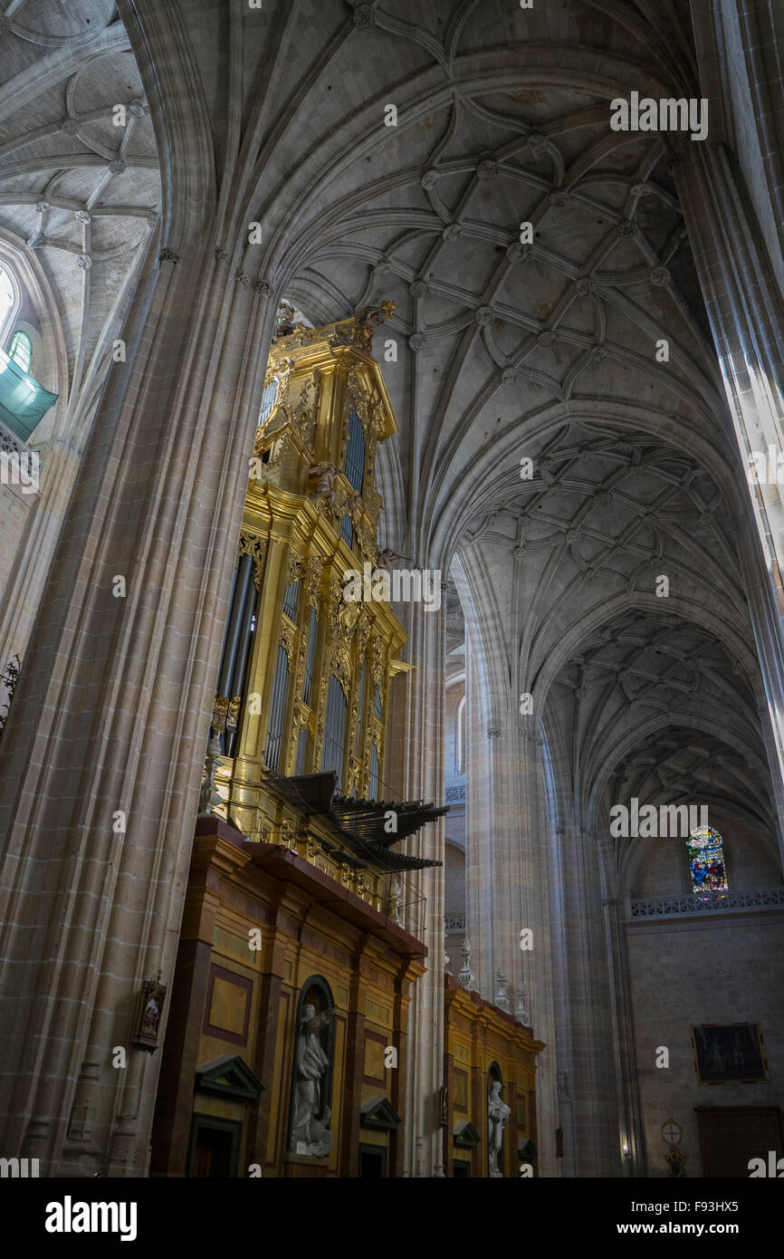 Medieval Gothic Cathedral of Segovia, monumental pipe organ Stock Photo ...