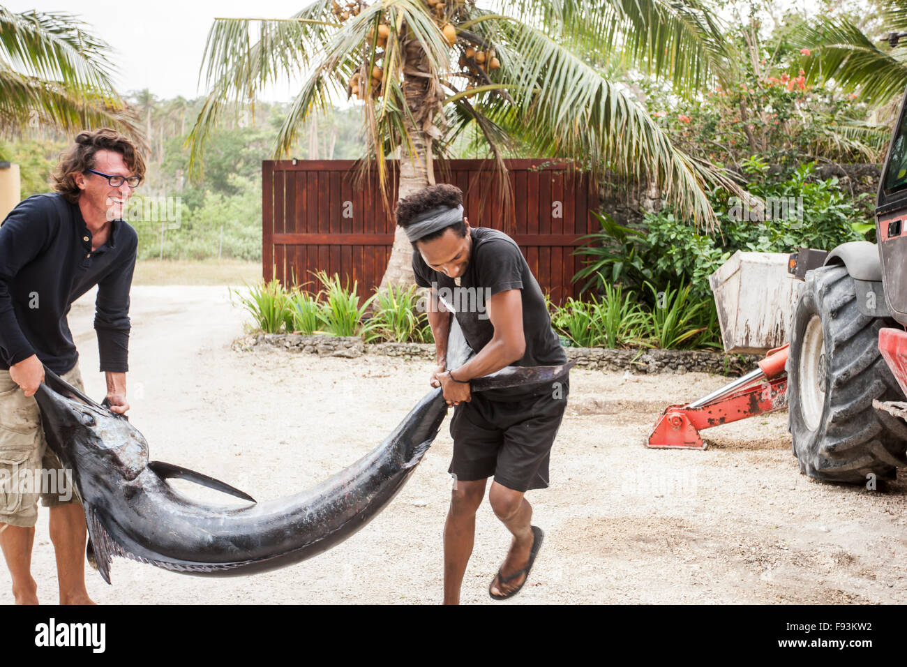 Two men carrying a huge silver-colored swordfish they caught Stock ...