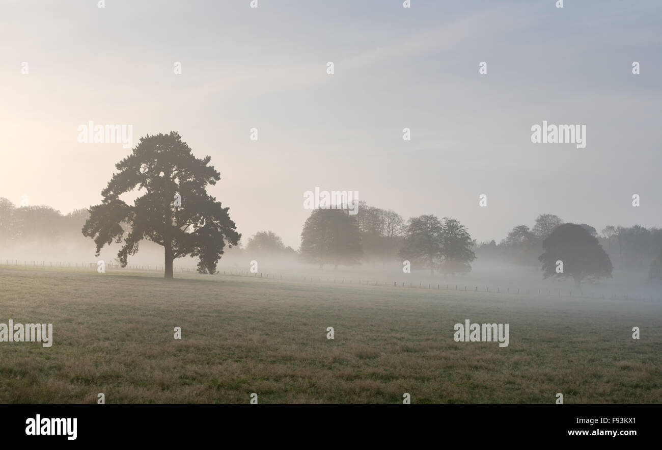 A misty landscape in the Kent Downs, An Area of Outstanding Natural ...