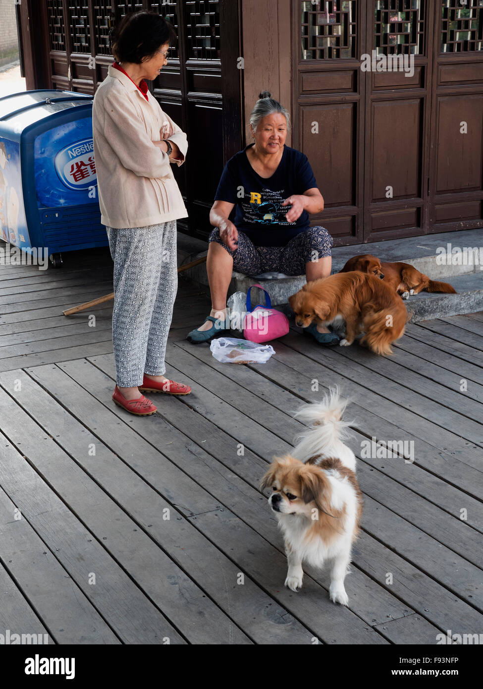 Chinese woman and dog hi-res stock photography and images - Alamy