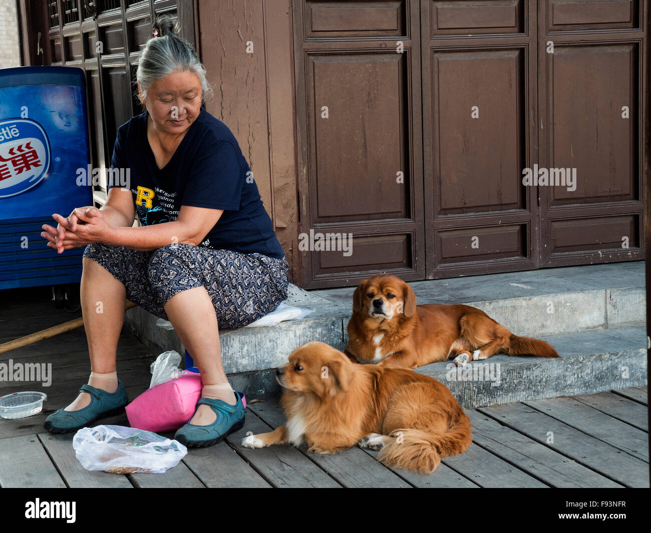China dogs hi-res stock photography and images - Alamy