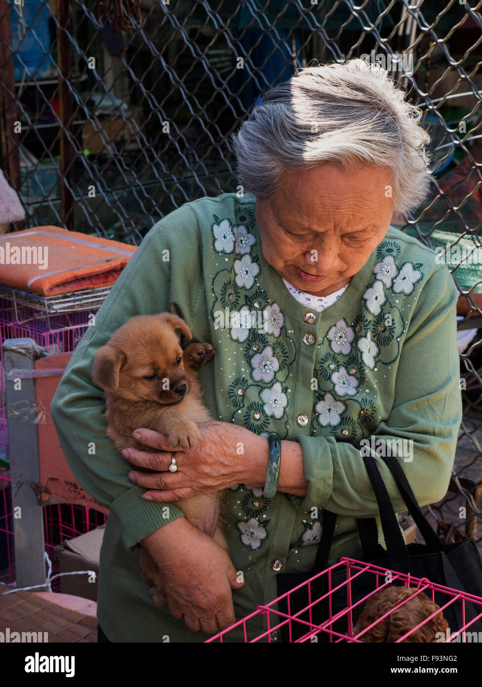 Pet market at Fuxingmen Dajie, Beijing, China, Asia Stock Photo - Alamy