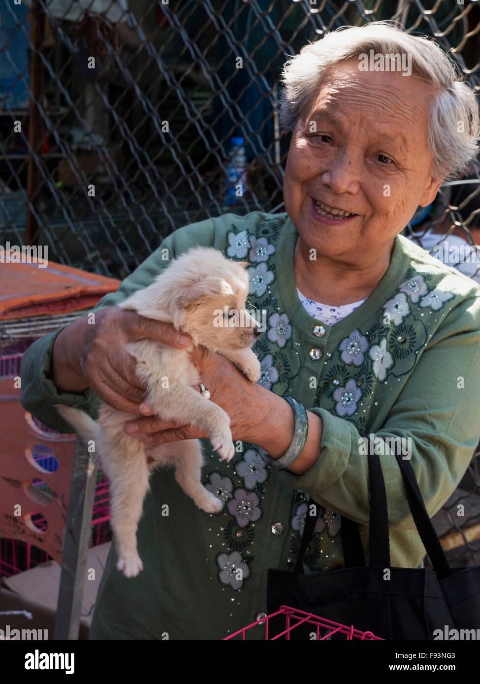 Pet market at Fuxingmen Dajie, Beijing, China, Asia Stock Photo - Alamy