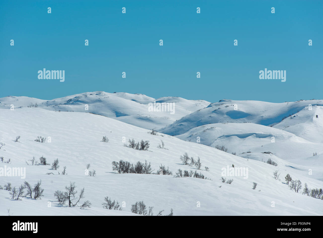 Picture from telemark, norway, winter landscape in rauland Stock Photo ...