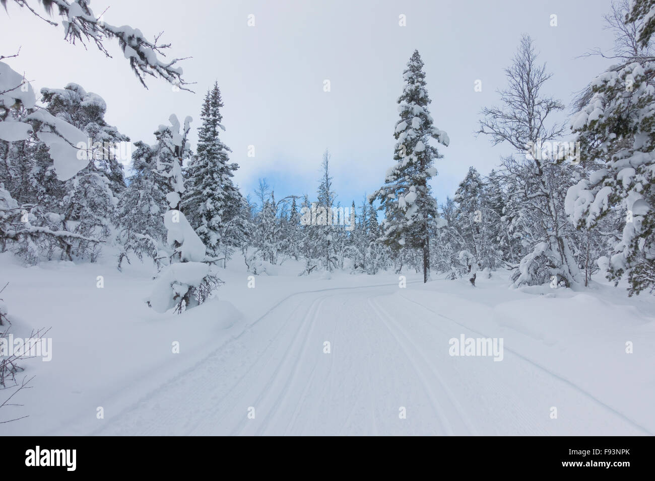 Picture from telemark, norway, winter landscape in rauland Stock Photo ...