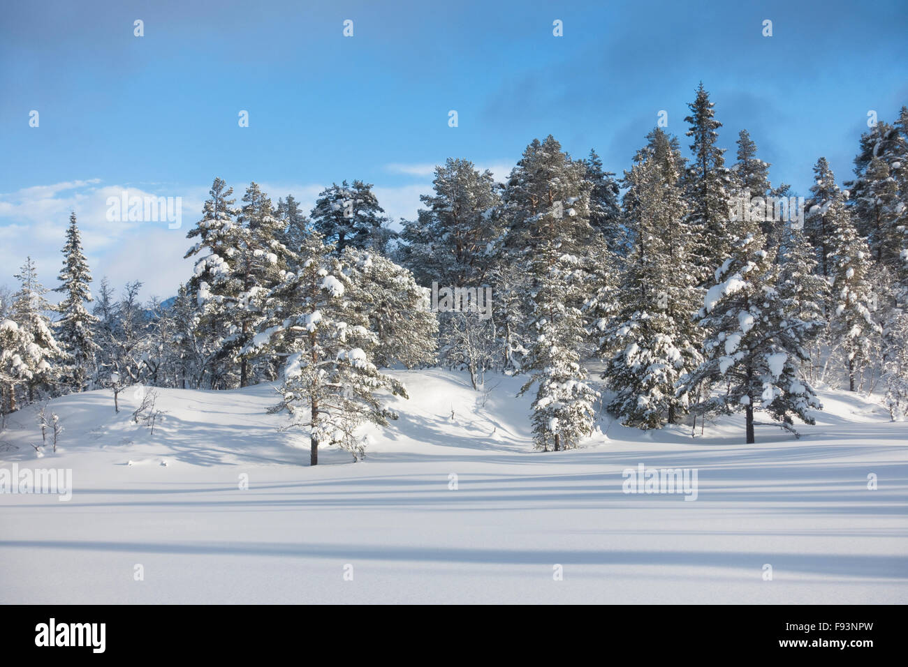 Telemark norway hi-res stock photography and images - Alamy