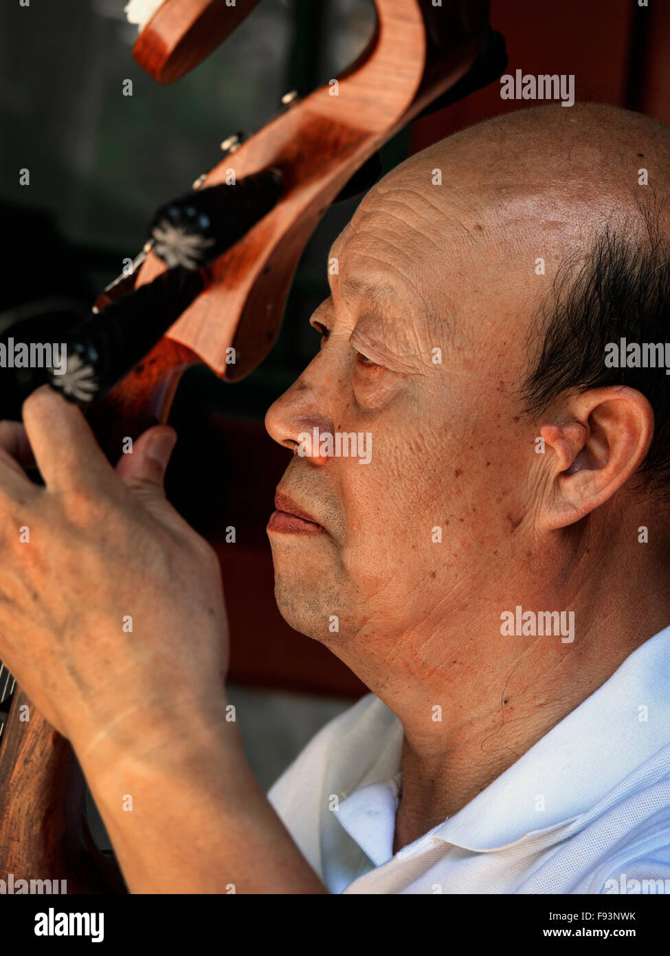 Musician in Beihai Park, Beijing, China, Asia Stock Photo - Alamy