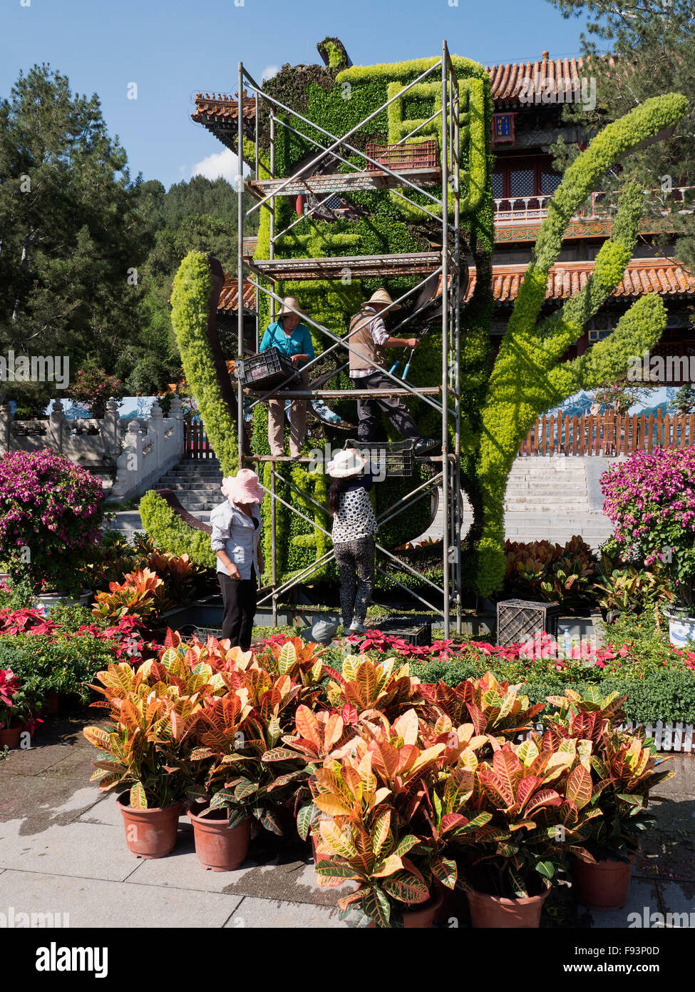 Exhibition flower hi-res stock photography and images - Alamy