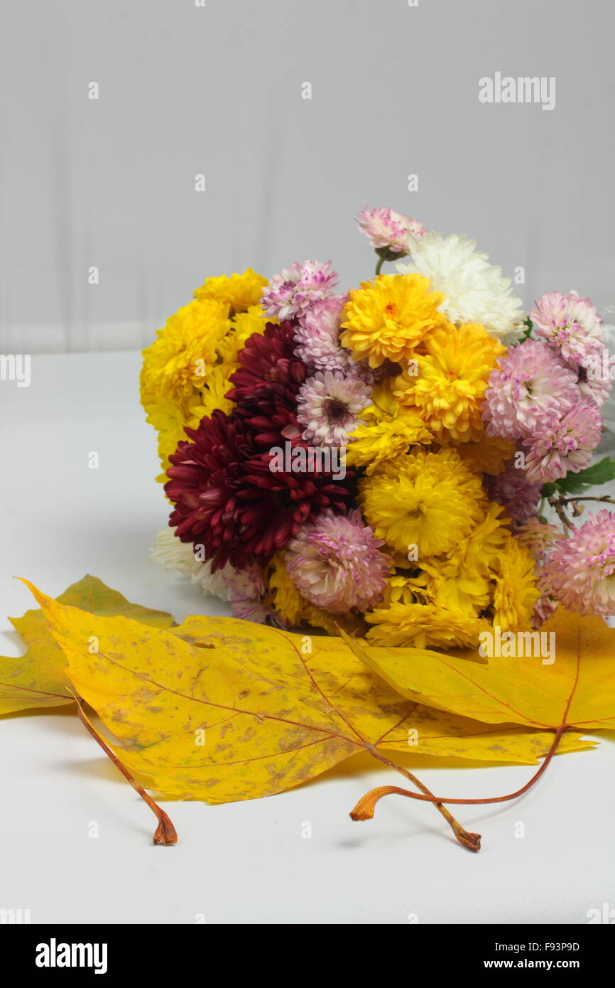 Season of the flowers hi-res stock photography and images - Alamy