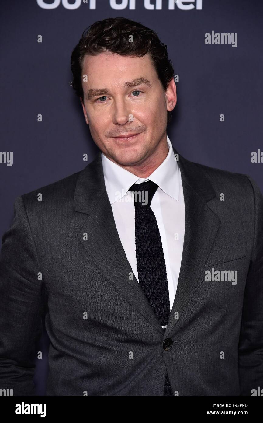 New York, NY, USA. 13th Dec, 2015. Brian Burns at arrivals for DADDY'S ...