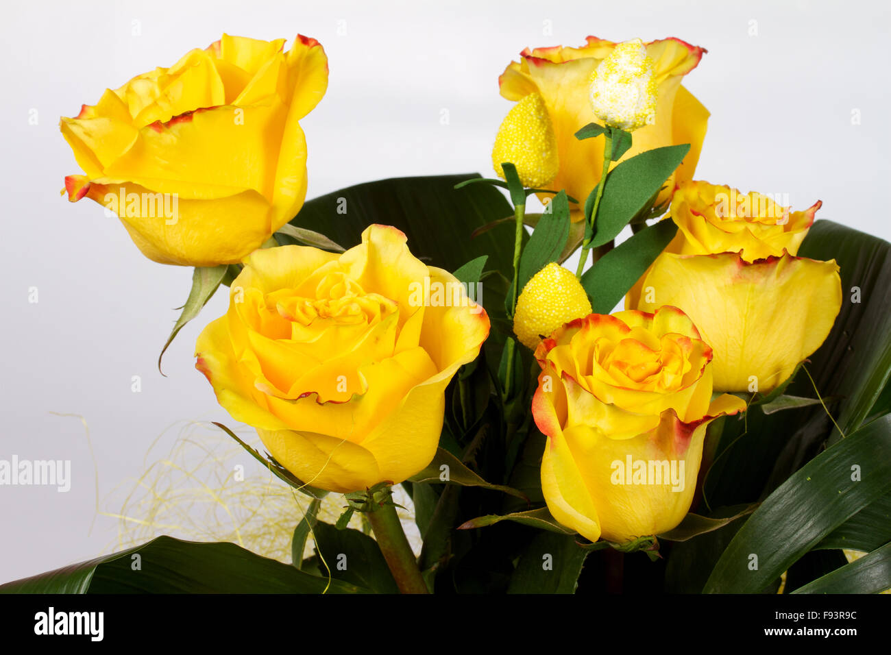 Close-up shot of roses Stock Photo - Alamy