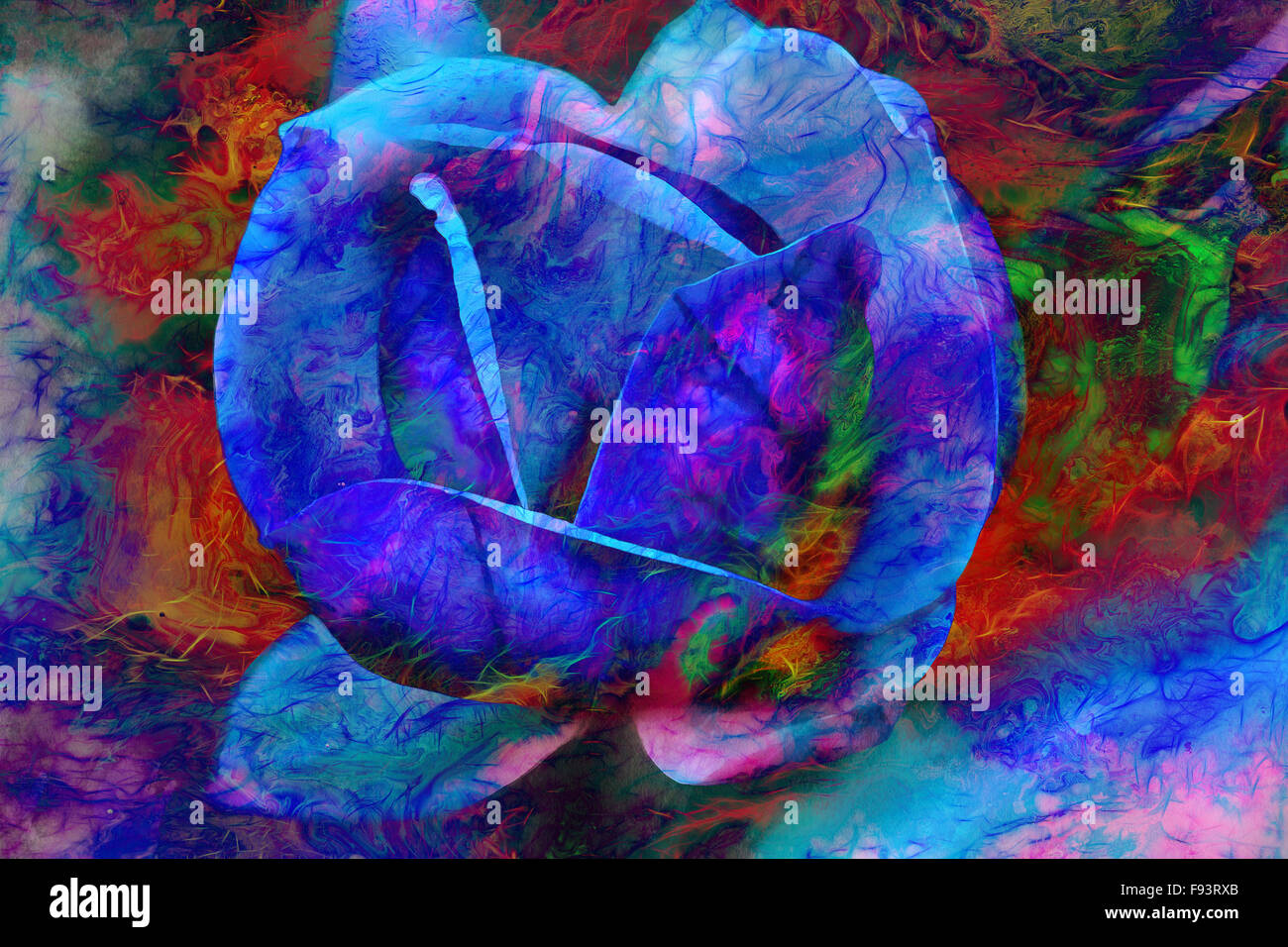 Beautiful blue color flower, Color Abstract background Stock Photo - Alamy