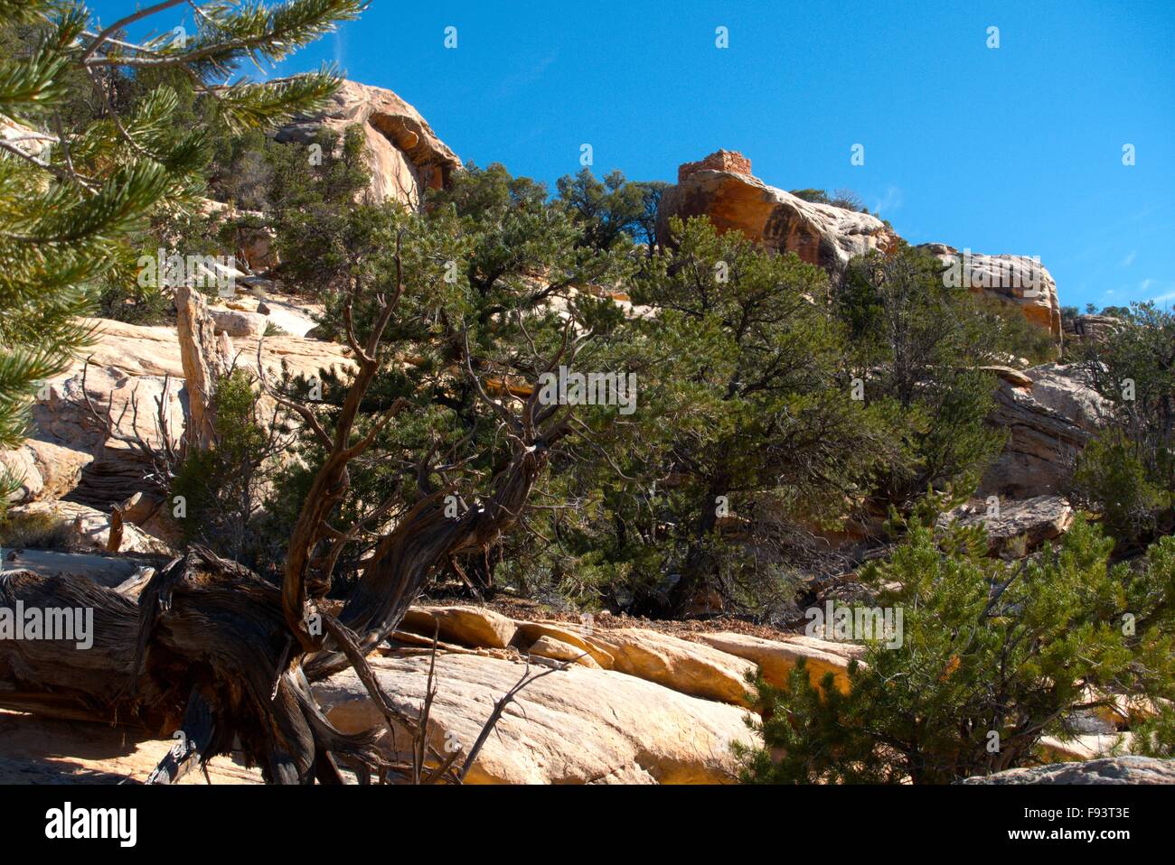 A watchtower sits atop an outcrop in Bullet Canyon at Cedar Mesa. Among ...