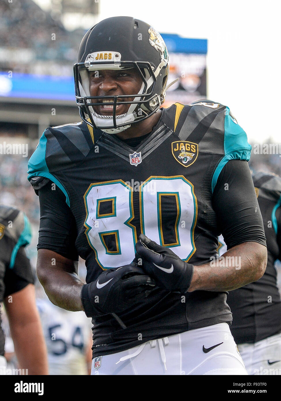 Jacksonville, FL, USA. 13th Dec, 2015. Jacksonville Jaguars tight end ...