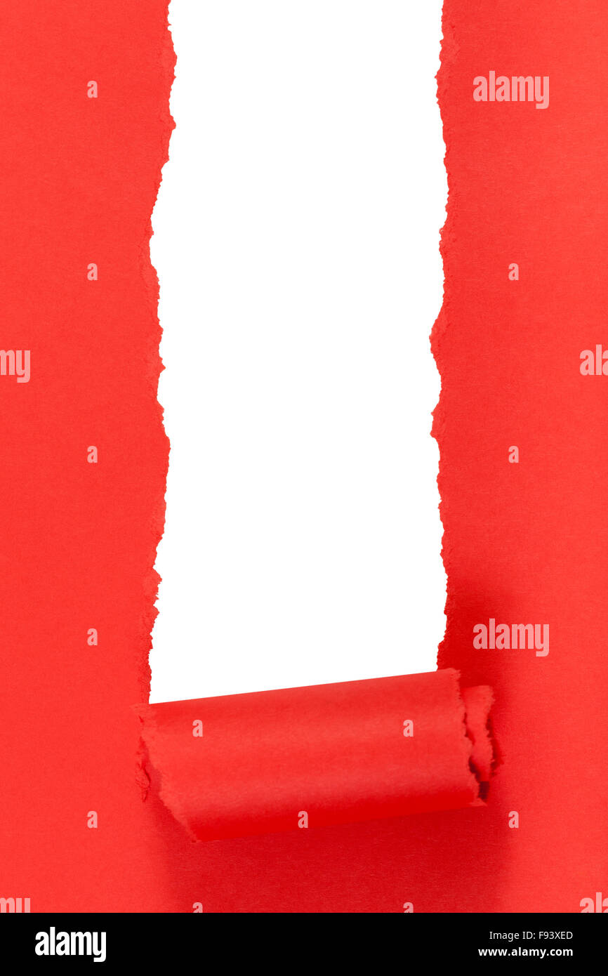 red rolled-up ripped paper on white isolated vertical background Stock ...