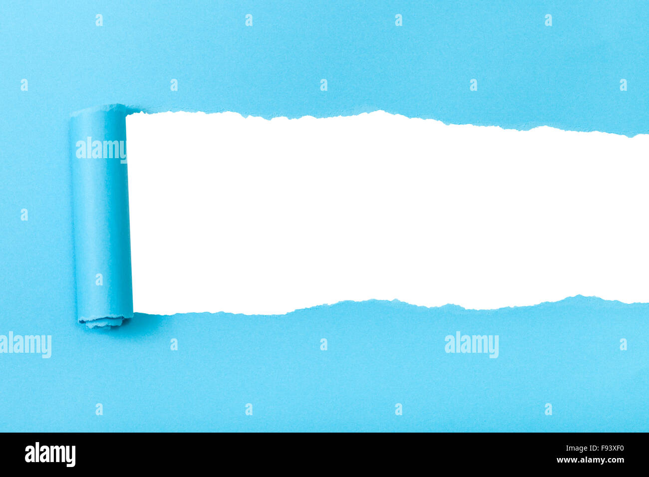 blue rolled-up torn paper on white isolated background Stock Photo - Alamy