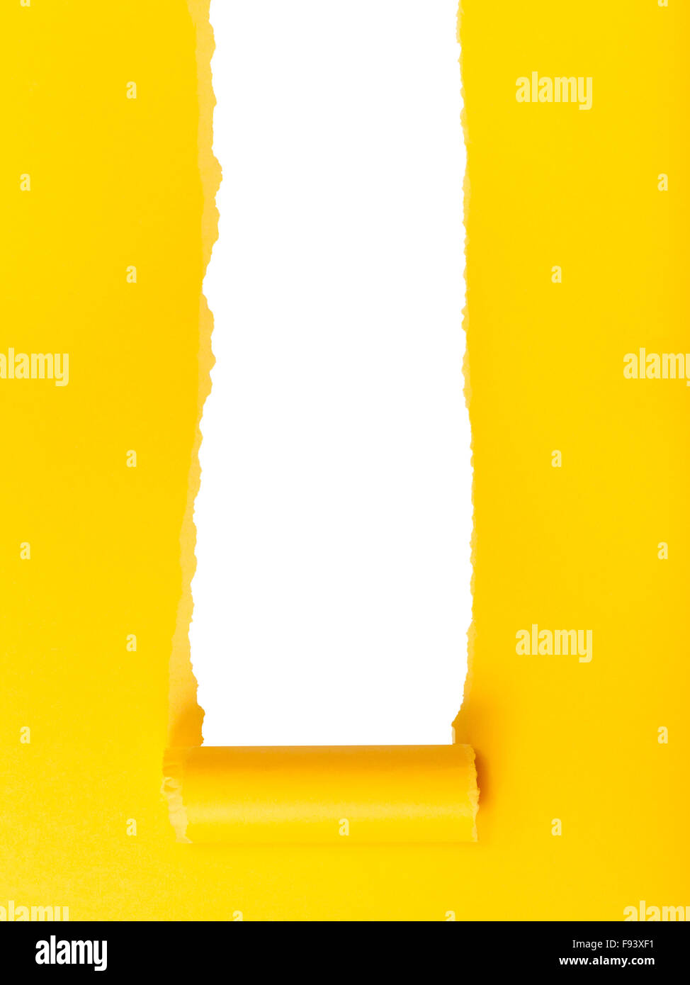 yellow rolled-up torn paper on white isolated vertical background Stock ...