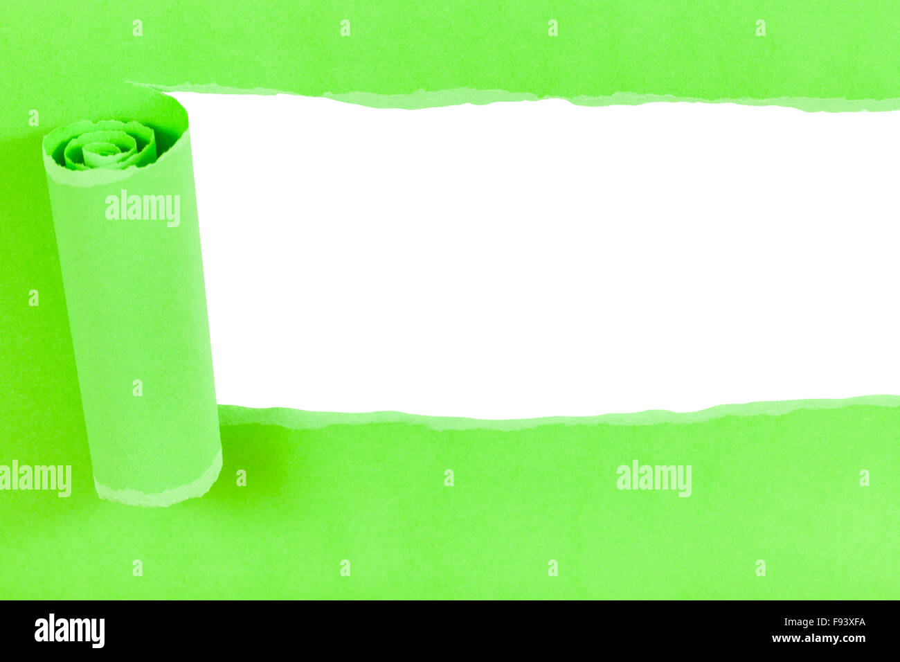 above view of green rolled-up torn paper on white isolated background ...
