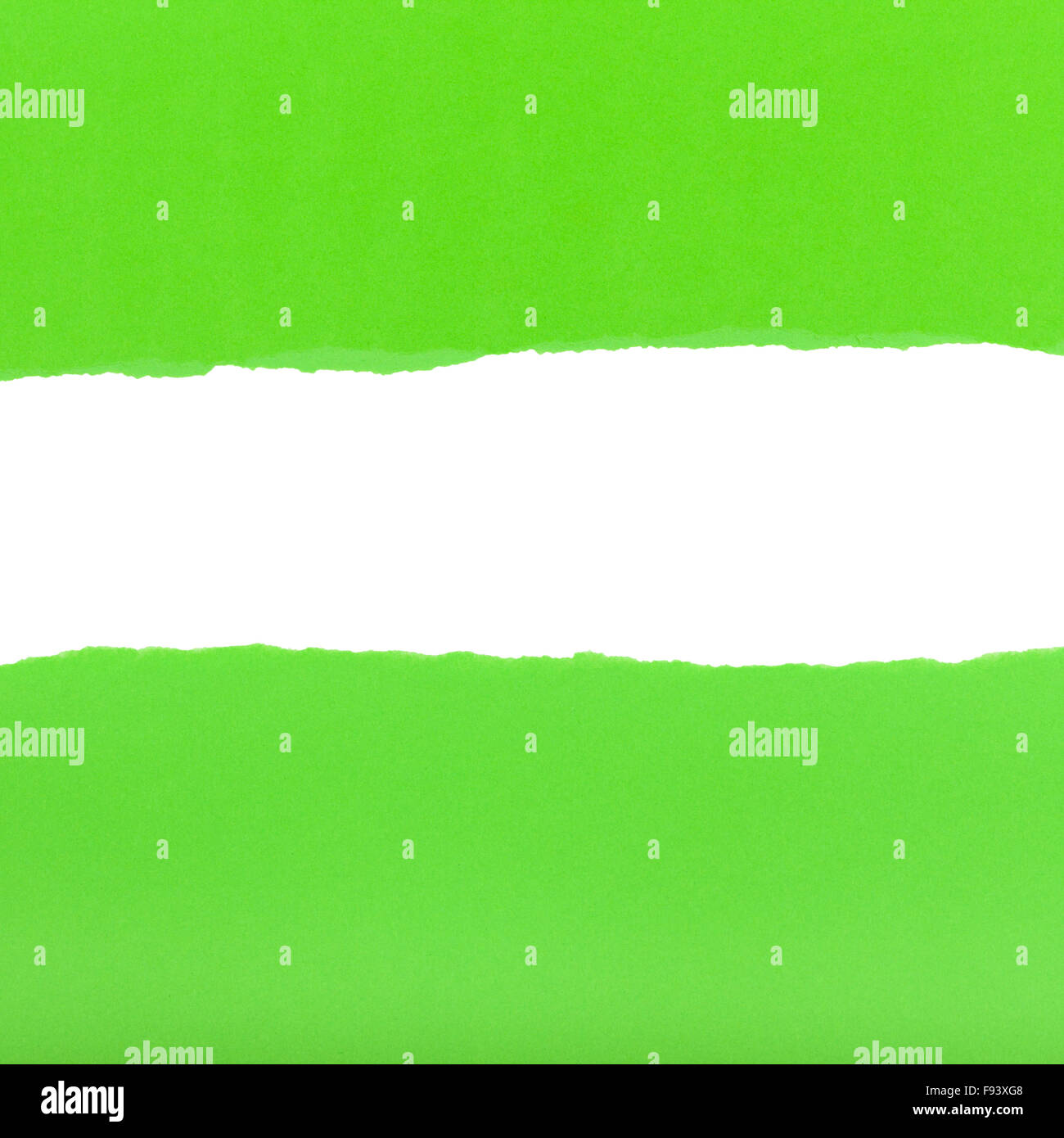 splitted halves of the sheet of green ripped paper on white background ...