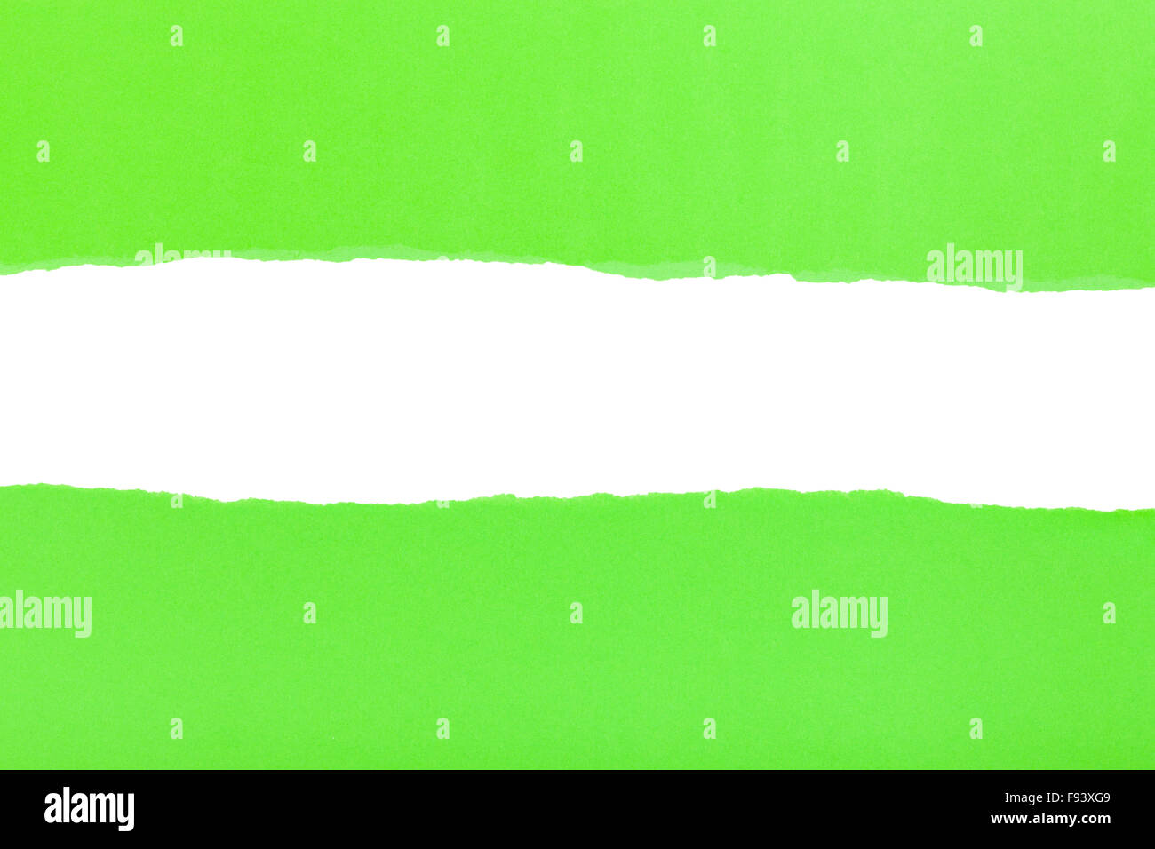divided halves of the sheet of green ripped paper on white background ...