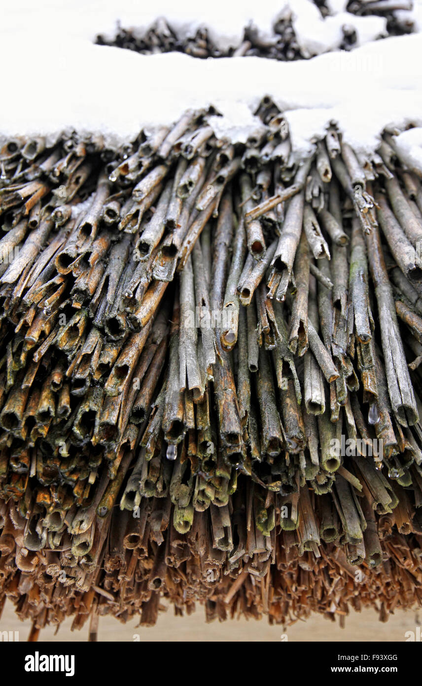 Ukrainian traditional thatched roof house detail of straw eaves ...