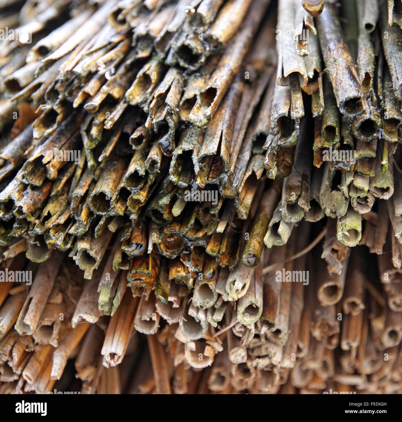 Ukrainian traditional thatched roof house detail of straw eaves ...