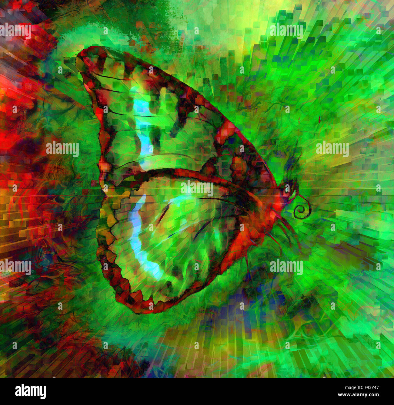 illustration of a color butterfly, mixed medium, abstract color ...