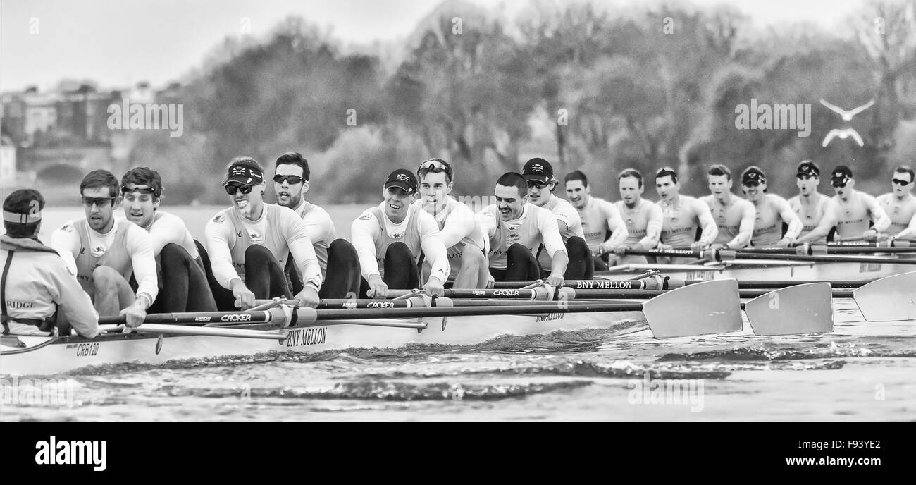 Thames rowers Black and White Stock Photos & Images - Alamy