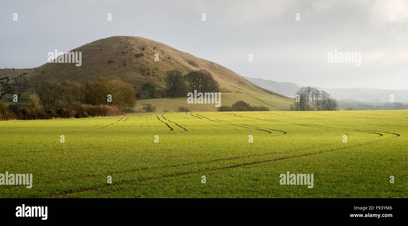Summerhouse Hill is a natural feature of the Kent Downs AONB near ...