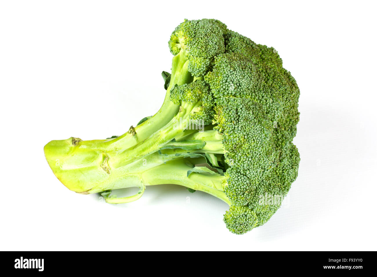 Fresh, Raw, Green Broccoli Pieces, Cut and Ready to Eat Stock Photo - Alamy