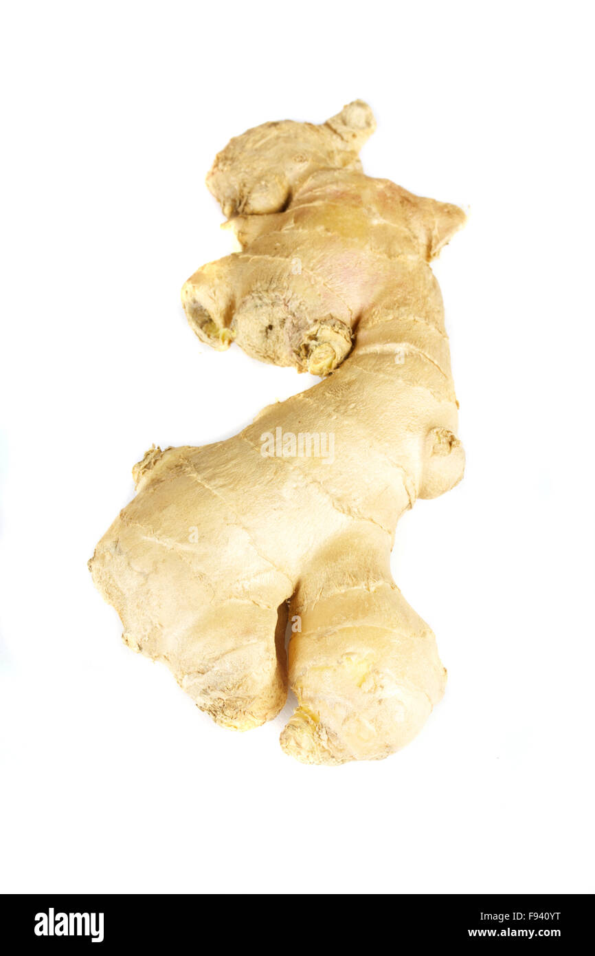 ginger isolated on white background Stock Photo - Alamy