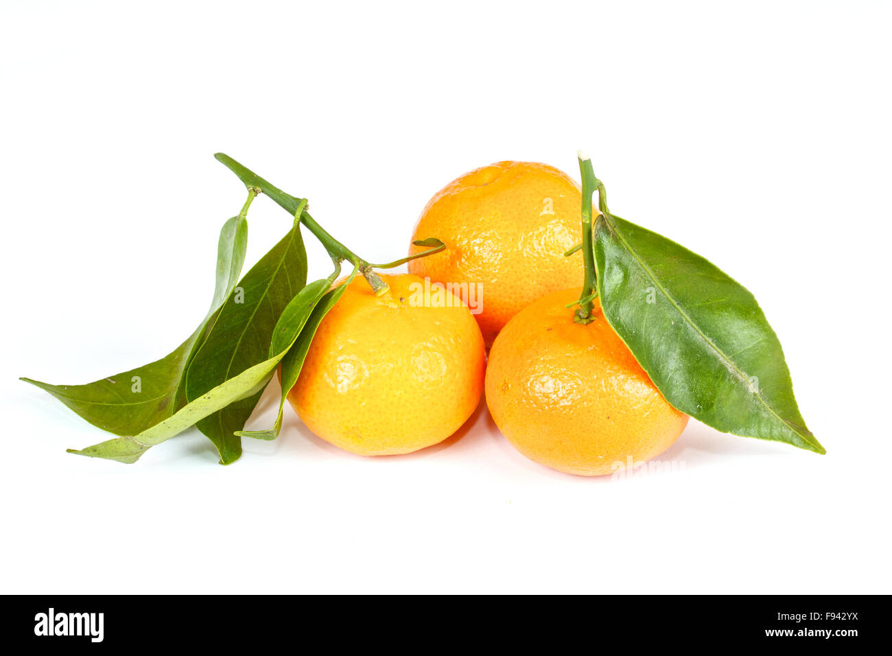 mandarin with green leaves isolated on white Stock Photo - Alamy