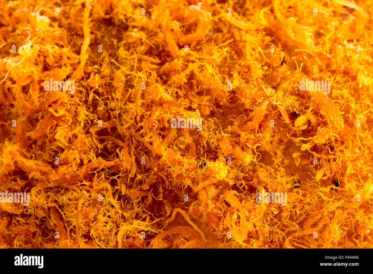 Chinese floss bread closeup with detailed hairy structure Stock Photo ...