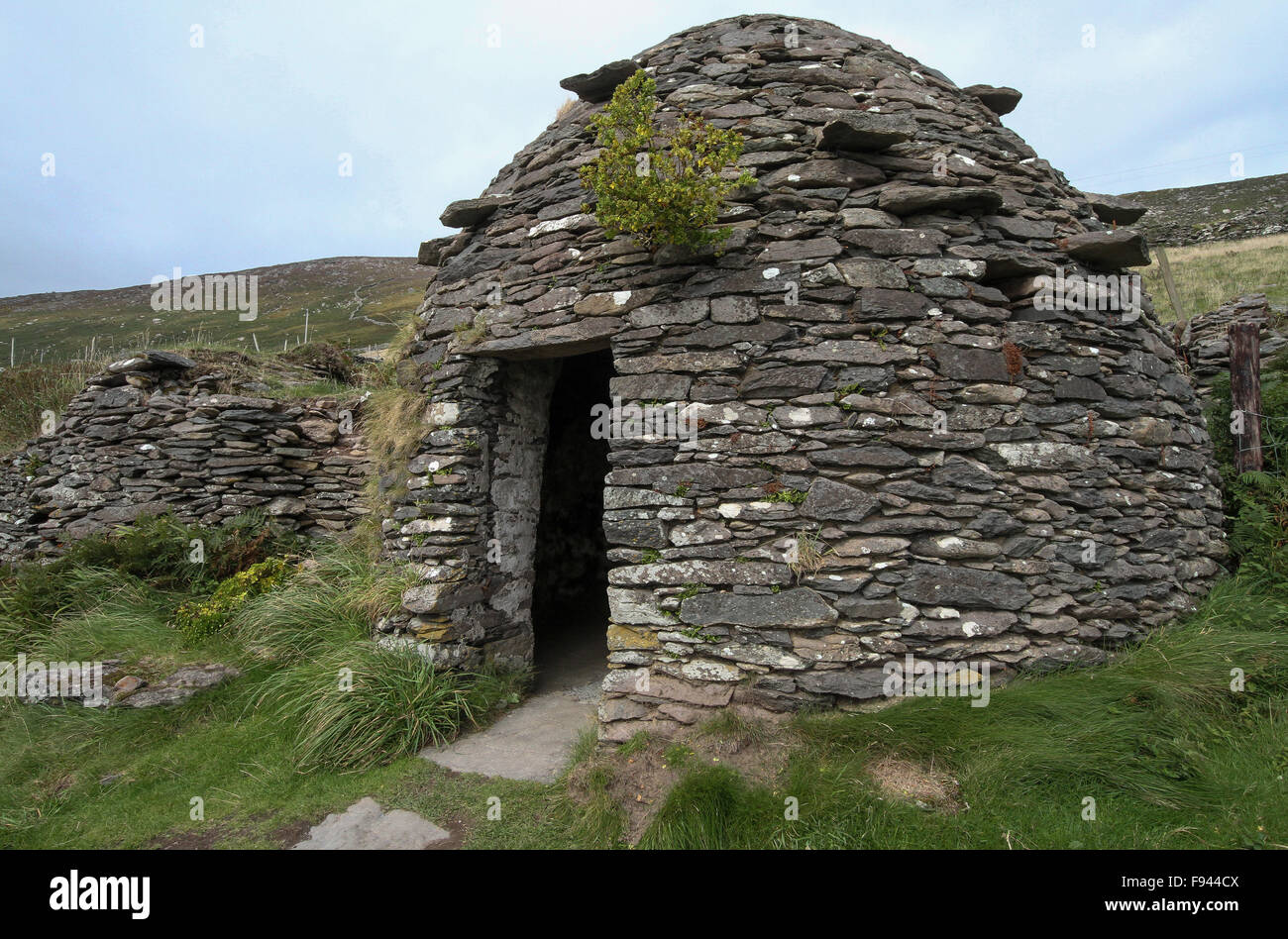 Beehive hut at Fahan on the Dingle Peninsula Stock Photo - Alamy