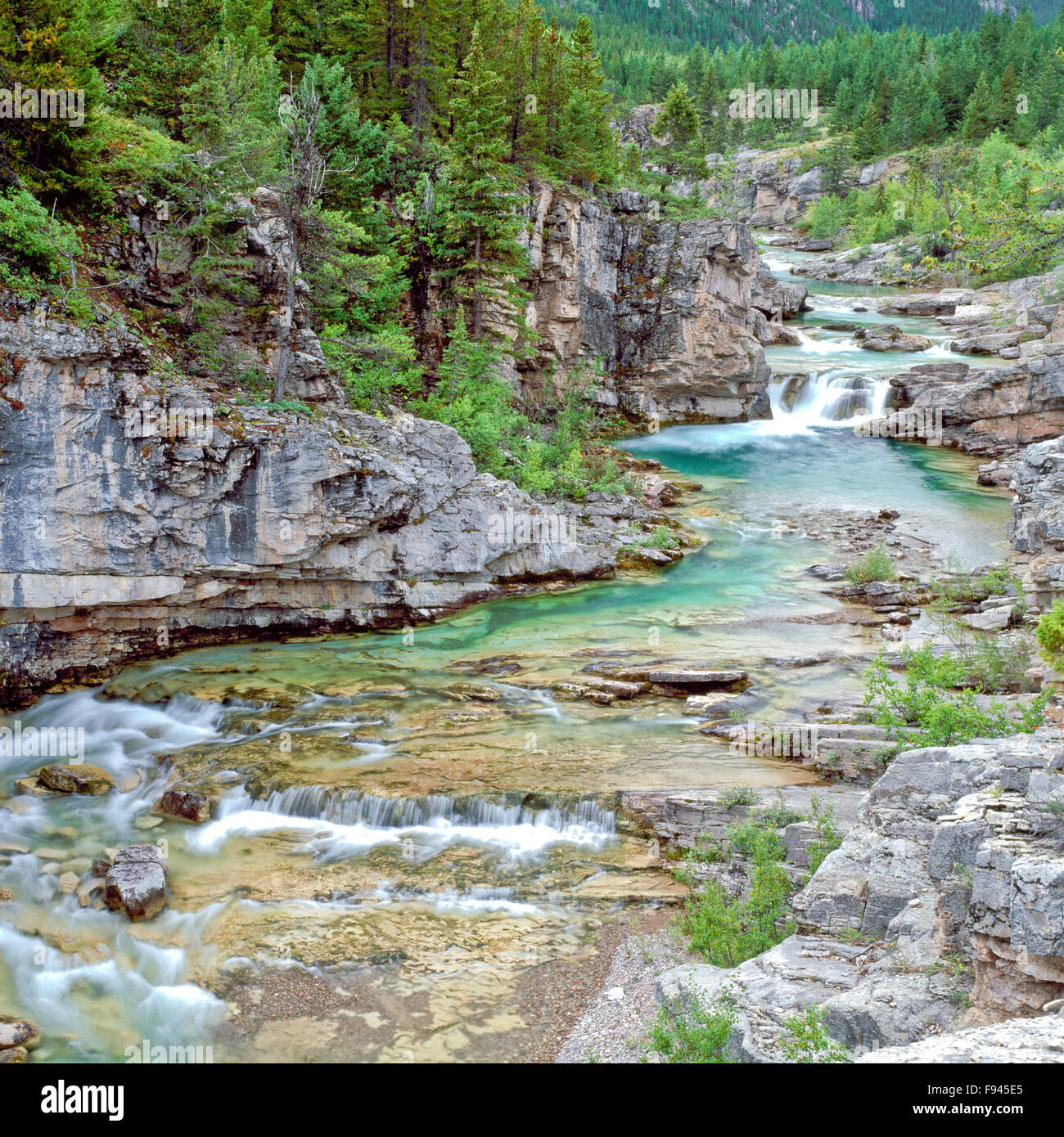 devil's glen area of the dearborn river in lewis and clark national ...