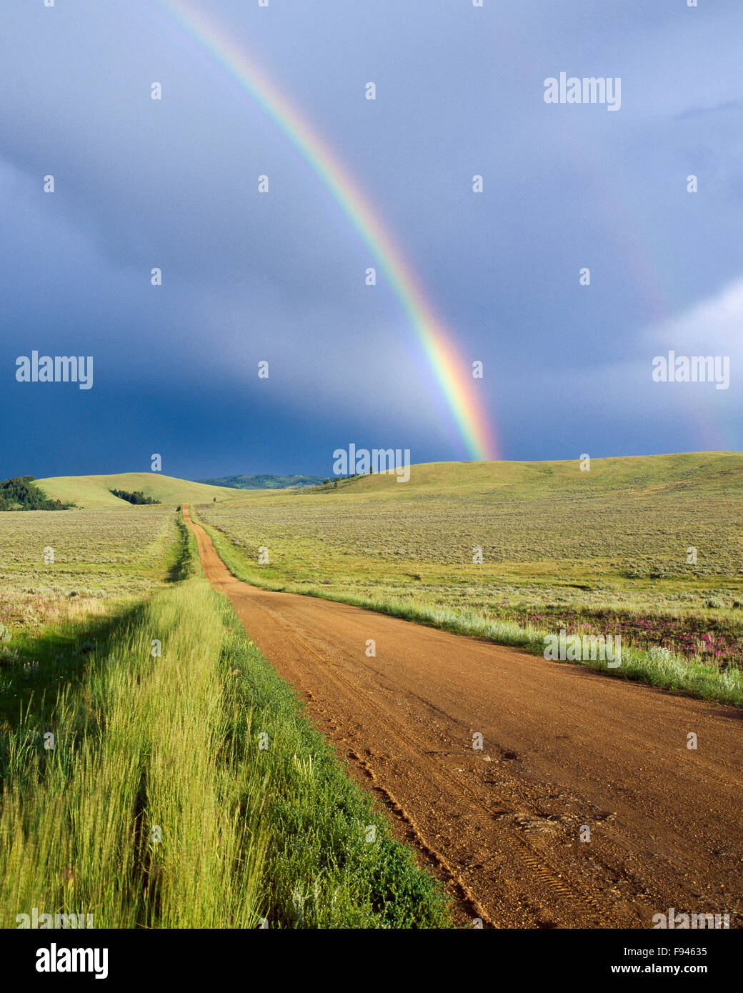 rainbow over prairie and backroad near white sulphur springs, montana ...