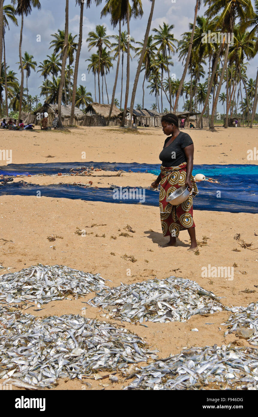 Woman with fishing nets and catch by Ghanaian fishermen, Ouidah beach ...