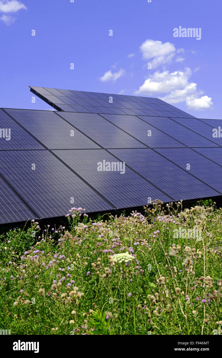 Solar panels in photovoltaic system illustrating alternative energy ...