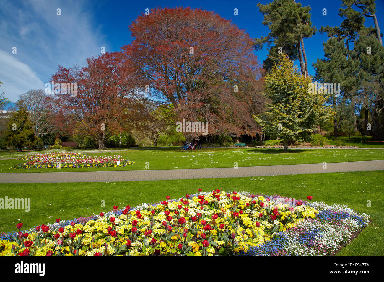 Flower bed, Botanic Gardens, Hagley Park, Christchurch, Canterbury ...