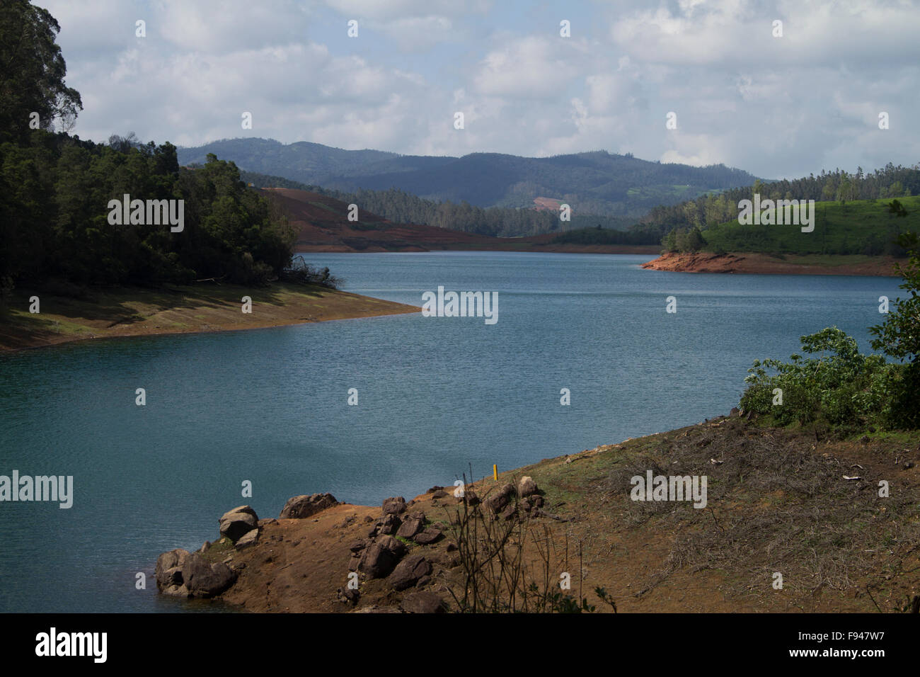 Dam reservoir and tea plantations Stock Photo - Alamy