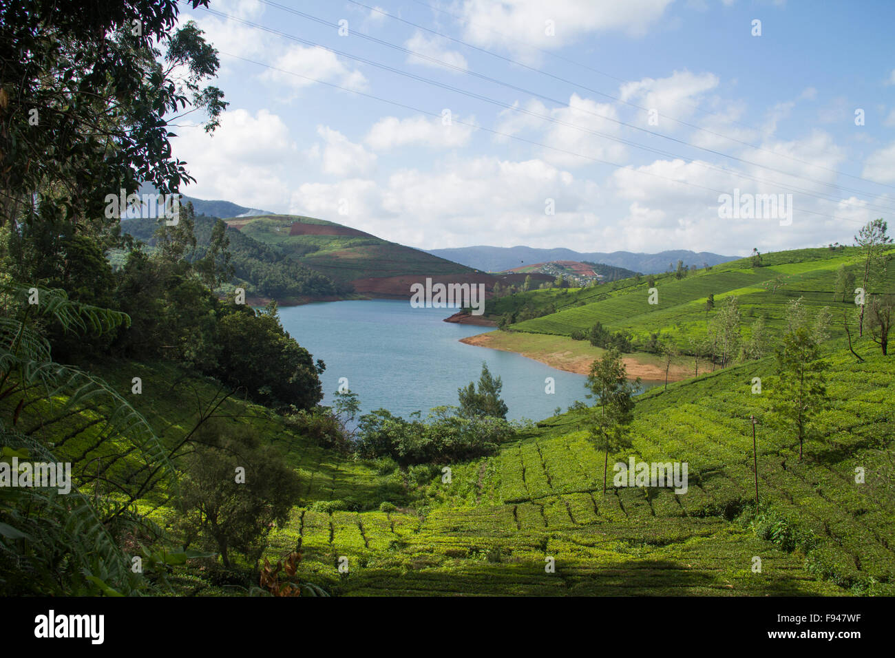 Dam reservoir and tea plantations Stock Photo - Alamy