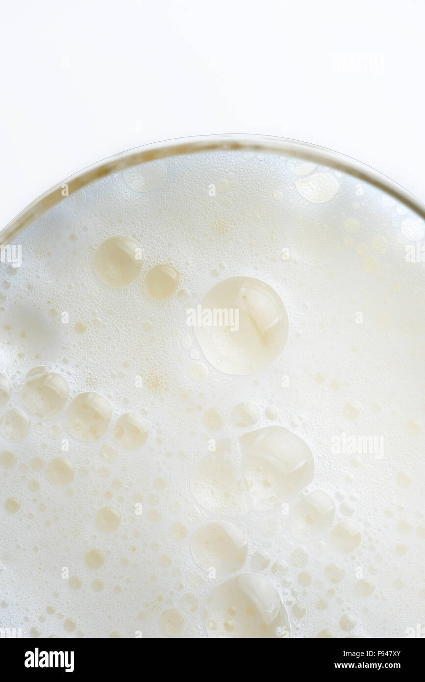 froth of beer in glass Stock Photo - Alamy